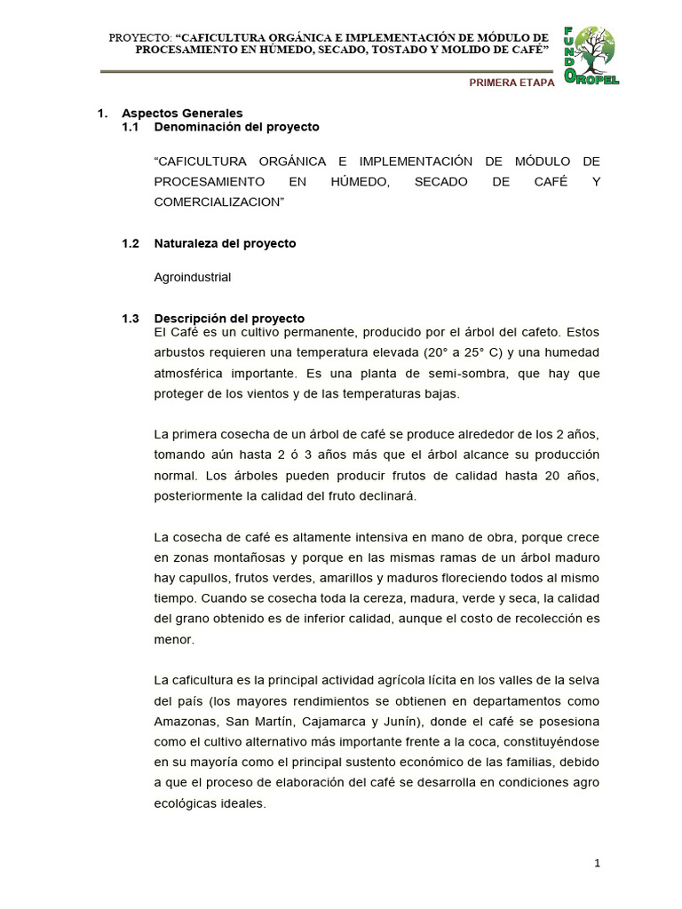 Proyecto Cafe Final 2022 | PDF | café | Perú