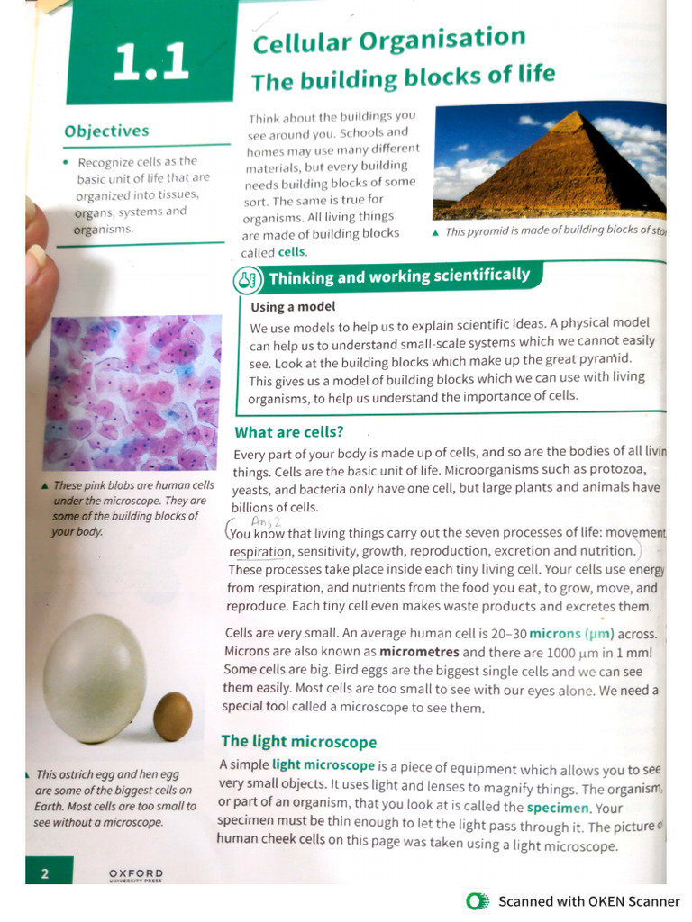 General Science Chapter 1 | PDF