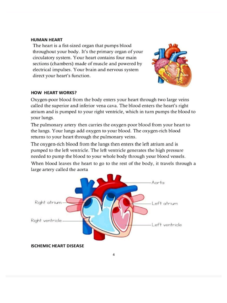 Ischemic Heart Disease | PDF
