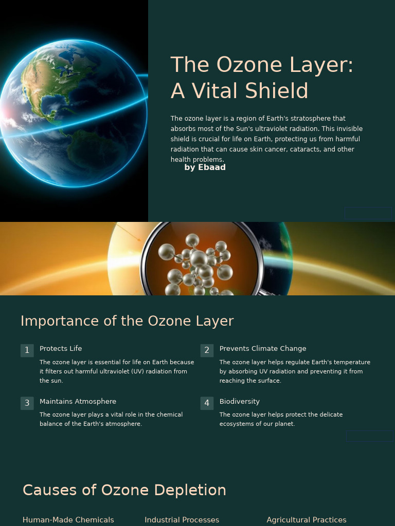 The Ozone Layer A Vital Shield | PDF