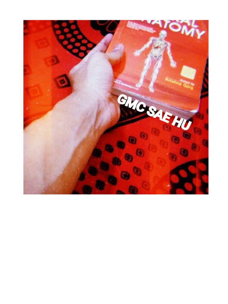 2nd Year Bhalani Important Questions | PDF