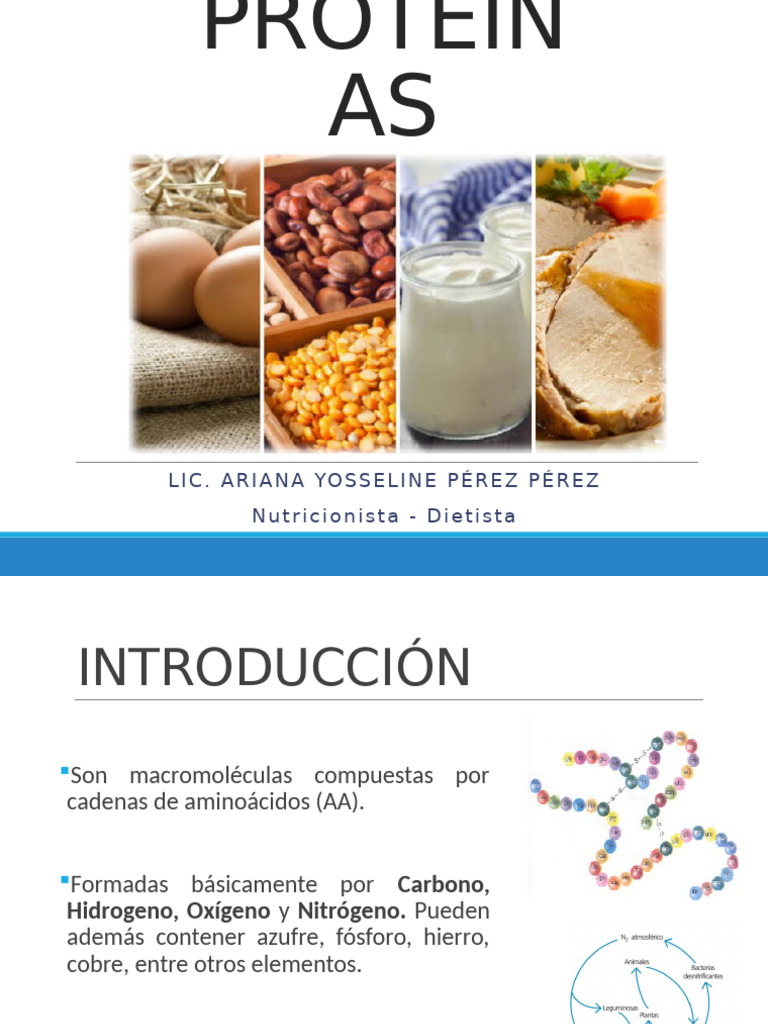 Proteinas | PDF