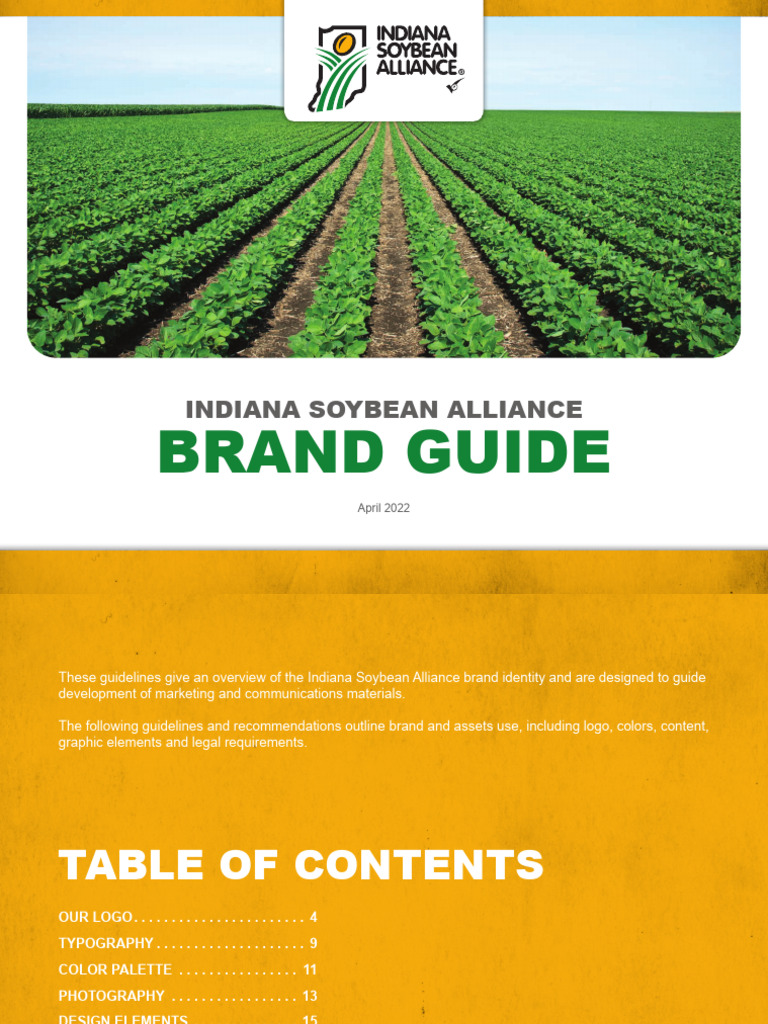 ISA Brand Guidelines 2022 | PDF