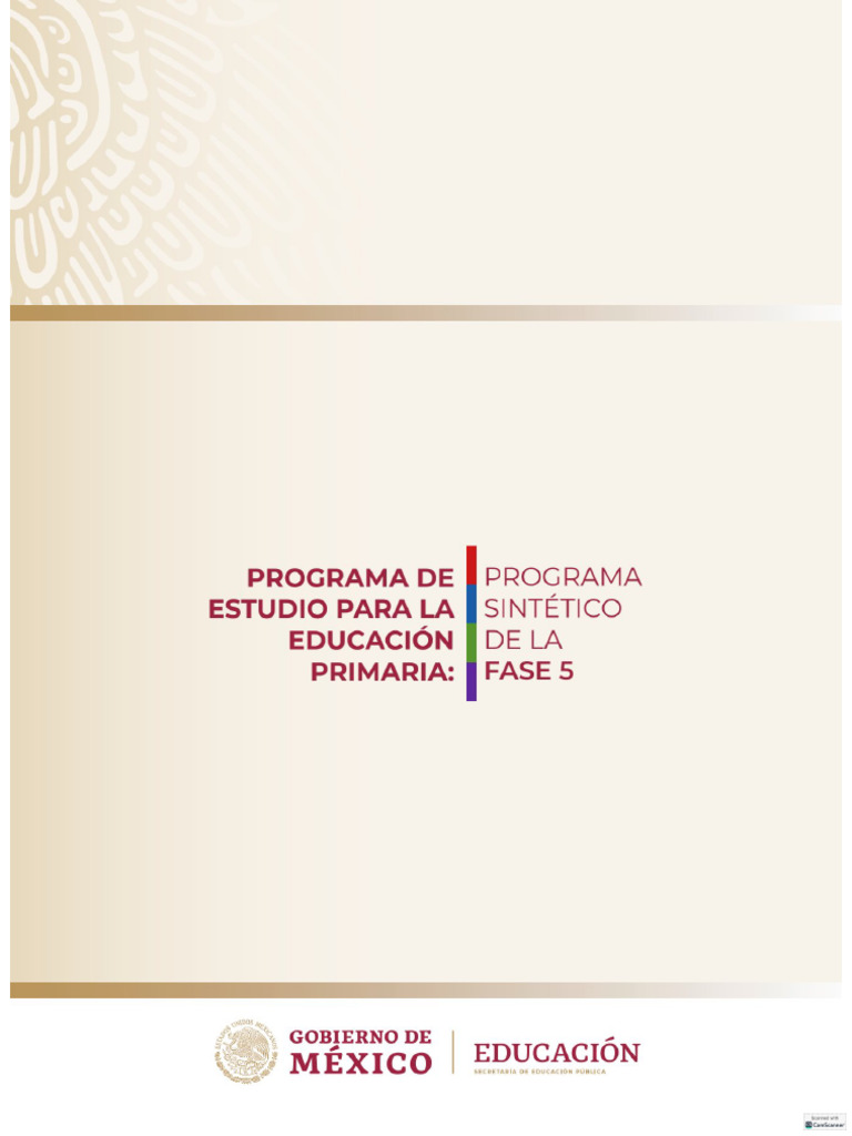 Programa Sintetico Fase 5 | PDF