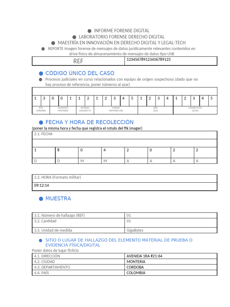 Informe Forense Digital Middlt202201 | PDF