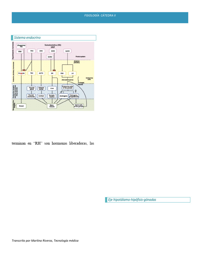 FisiologÃ - A Semana 2 Cã¡tedra II | PDF