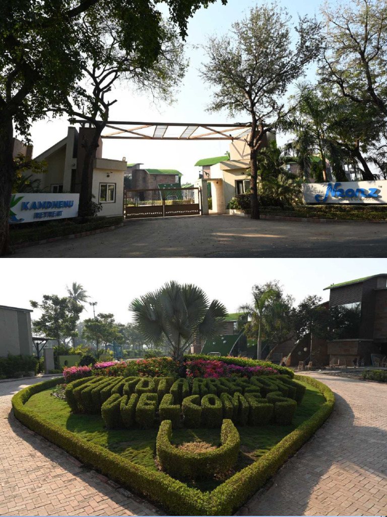 Neonz Overview | PDF