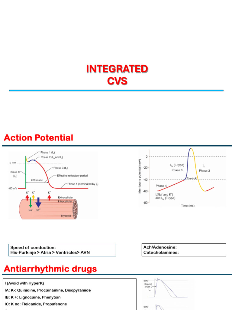 Integrated Cvs 2.0 | PDF