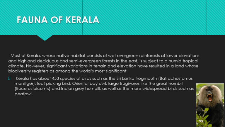 Presentation (5).pptx | PDF