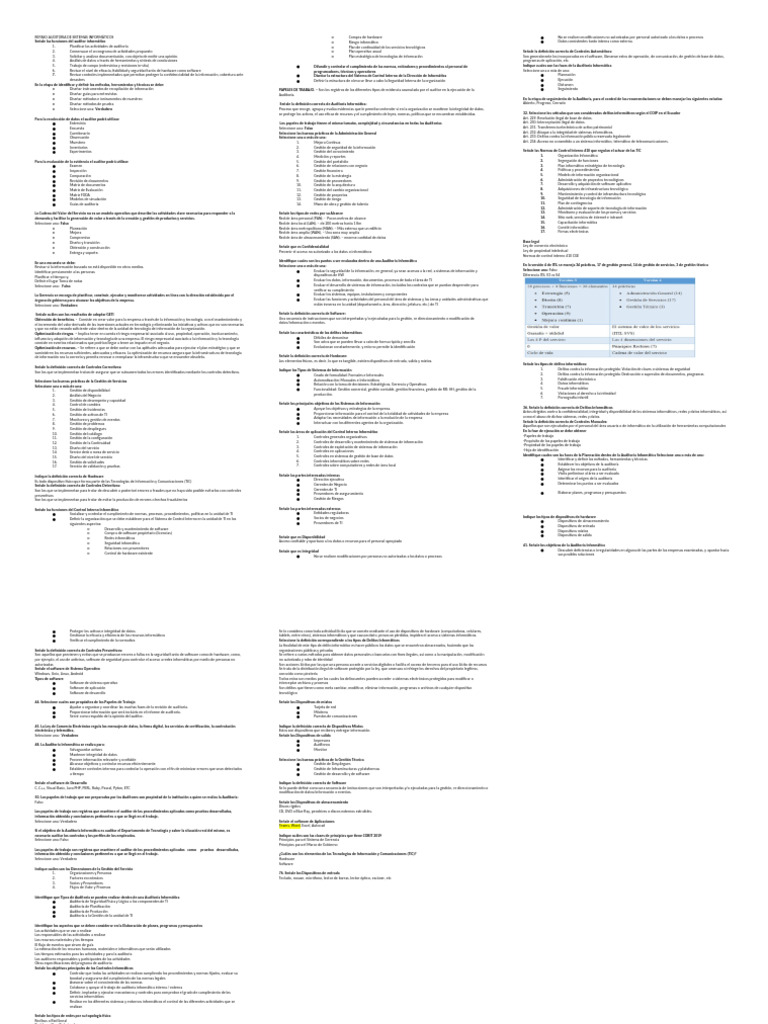 Repaso Auditoria de Sistemas Informáticos Yeison-2 | PDF