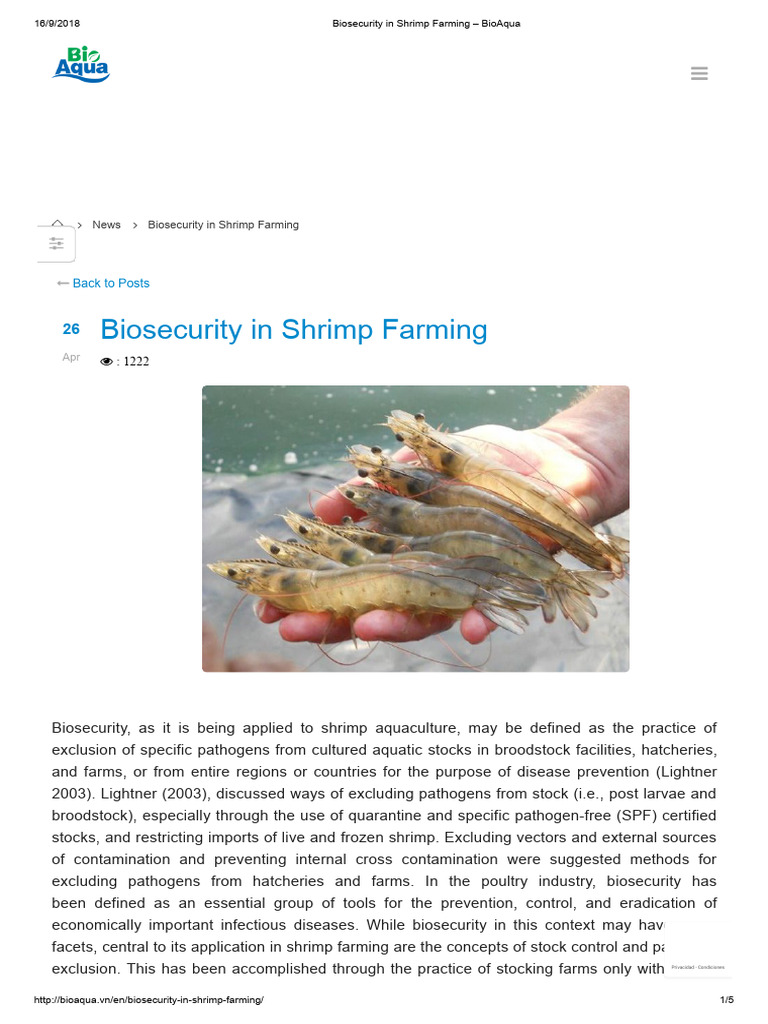 Biosecurity in Shrimp Farming | PDF