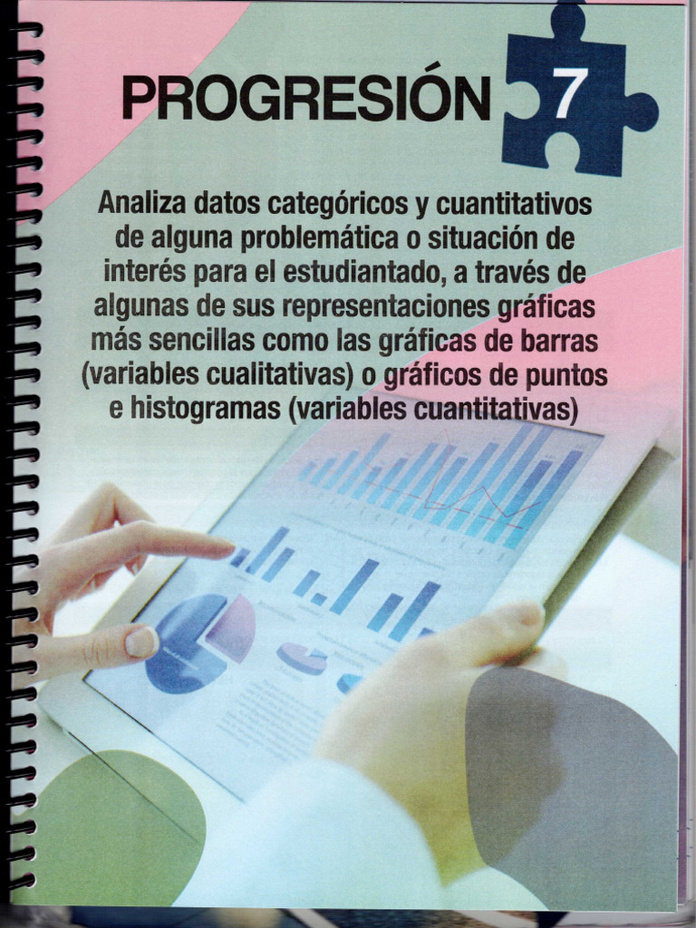 Pmi Progresion 7 | PDF