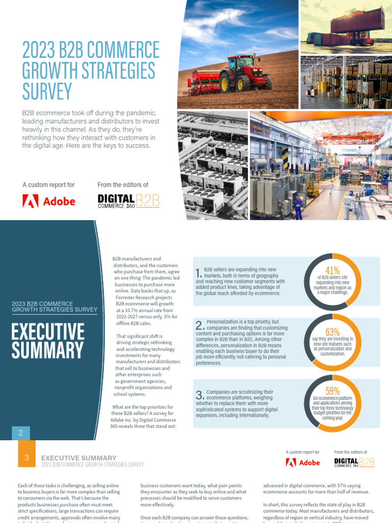 B2B Ecommerce Growth Insights | PDF | E Commerce | Computers