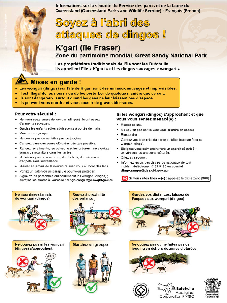 Be Dingo Safe Quick Tips Fre | PDF