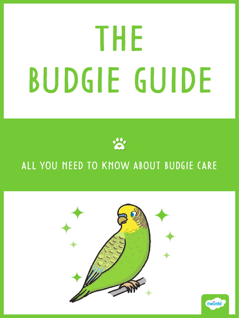Budgies | PDF