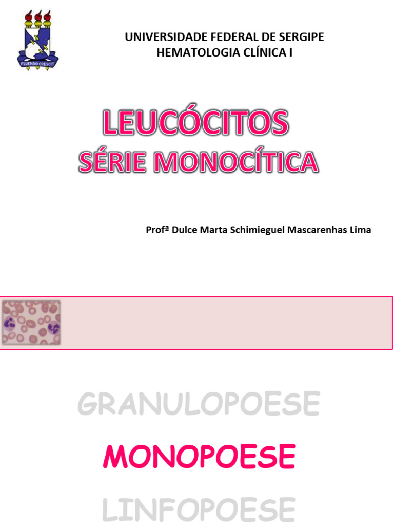 Leucócitos Série Monocítica | PDF