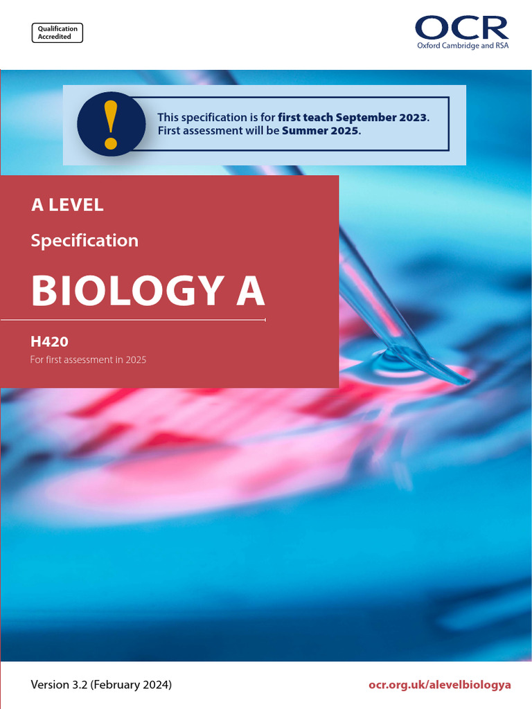 687834 Download a Level Specification | PDF