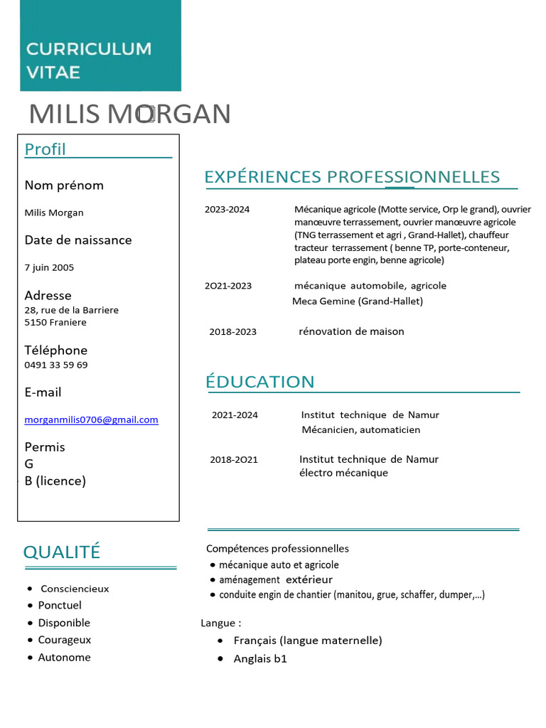 CV morgan | PDF