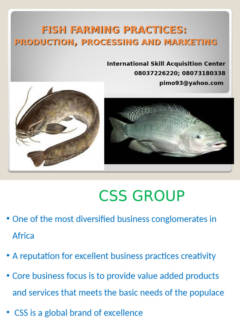 Css Fish PPM 2022 | PDF