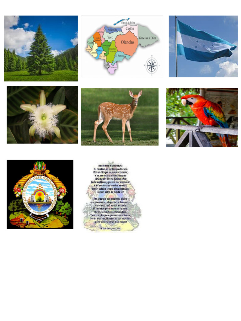 Simbolos Patria | PDF