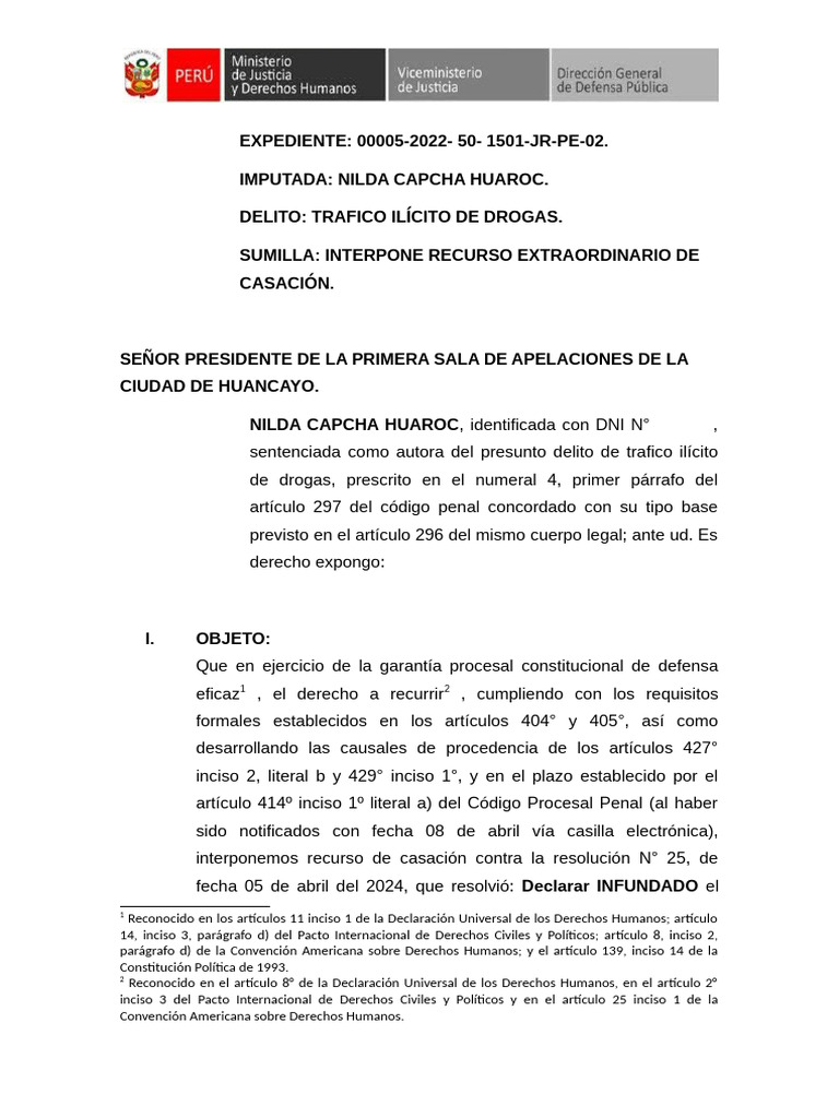 Modelo de Recurso de Casación | PDF