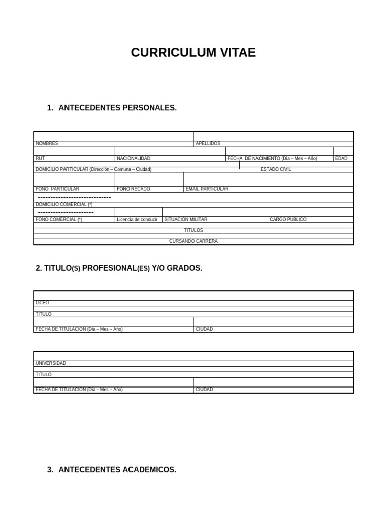 Formato Curriculum | PDF