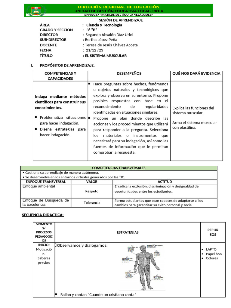 SESIÓN DE APRENDIZAJE. CyT.SISTEMA MUSCULAR | PDF