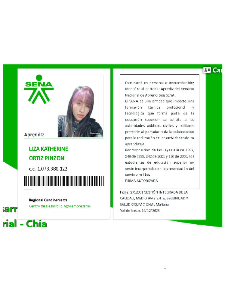 Liza Carnet | PDF