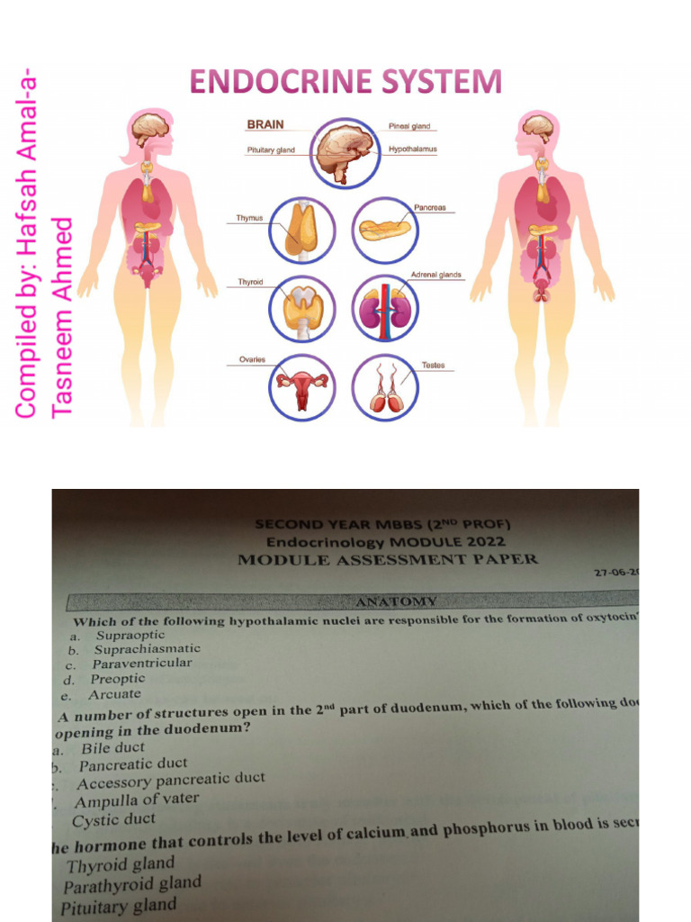 Endocrinology Module Exam D'26 | PDF