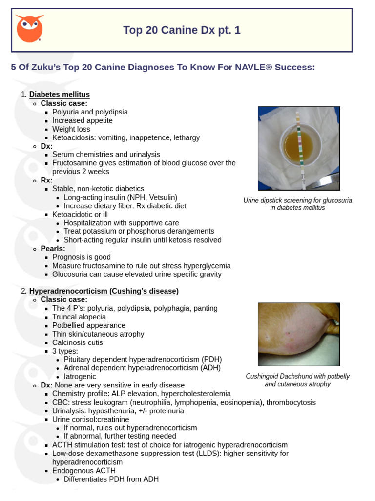 Top 20 Canine DX Pt. 1 0 | PDF