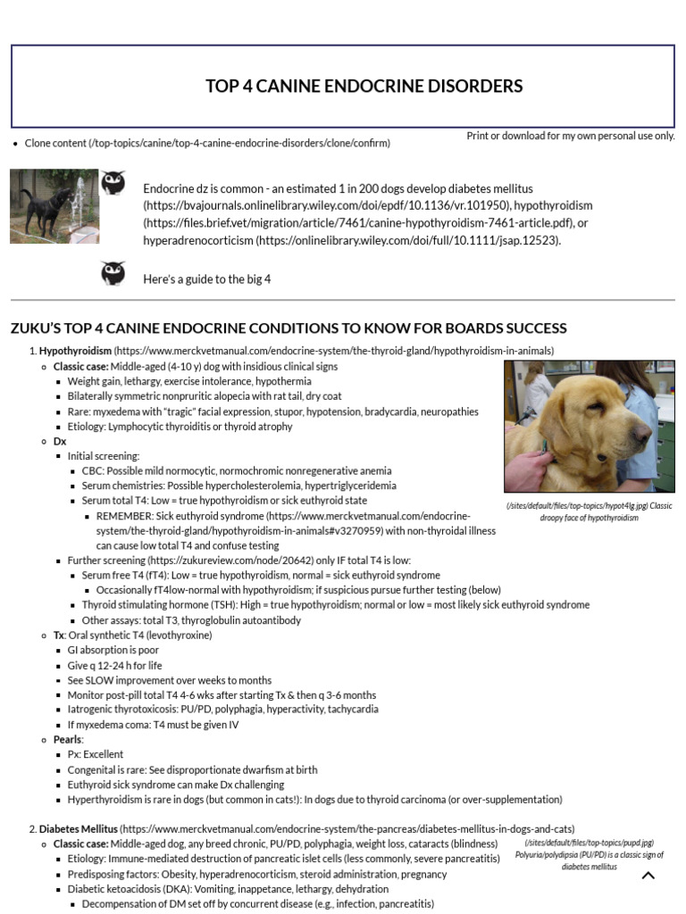 Top 4 Canine Endocrine Disorders Zuku | PDF