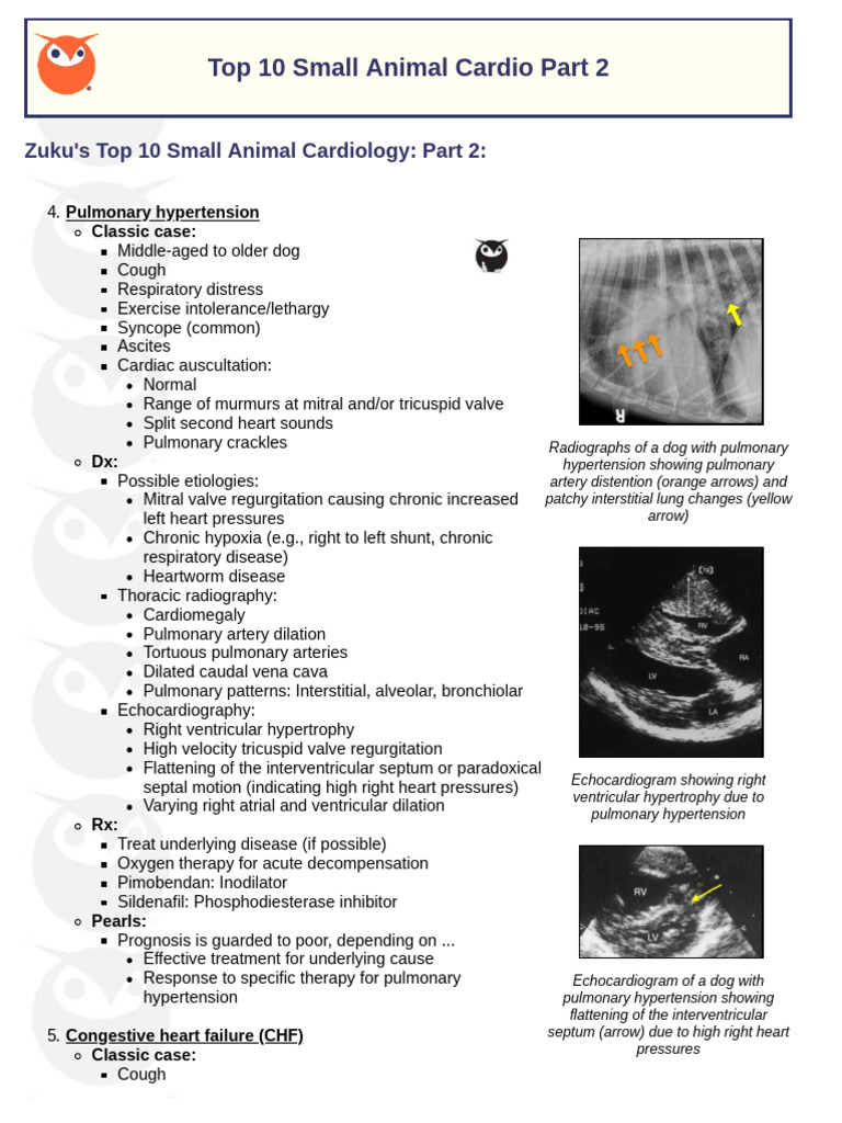 Top 10 Small Animal Cardio Part 2 | PDF