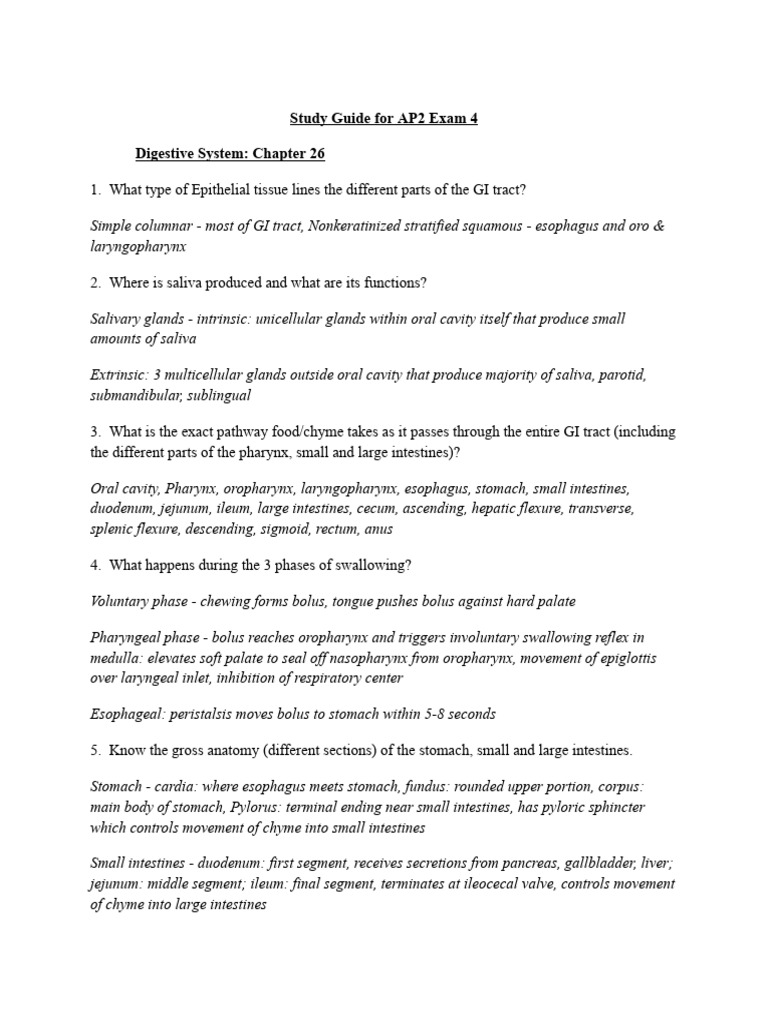 Study Guide For AP2 Exam 4 Highlighted Slides | PDF