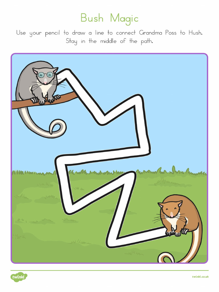 AU T 3892 Bush Magic Pencil Control Path Activity Sheets | PDF