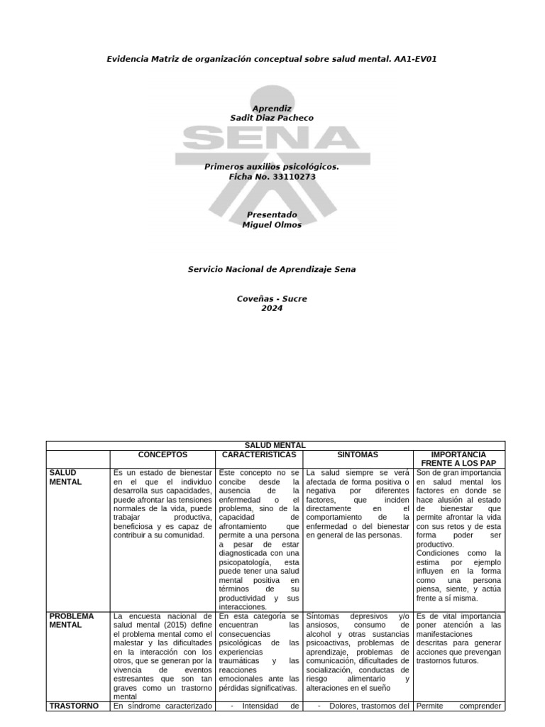 Evidencia Matriz de Organización Conceptual Sobre Salud Mental | PDF