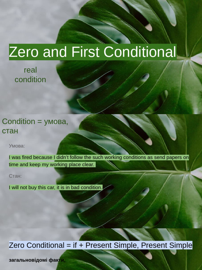 zero-and-first-conditional | PDF