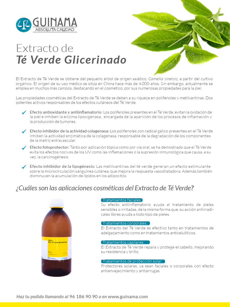 Extracto de Té Verde Glicerinado (Artículo) Autor Guinama | PDF