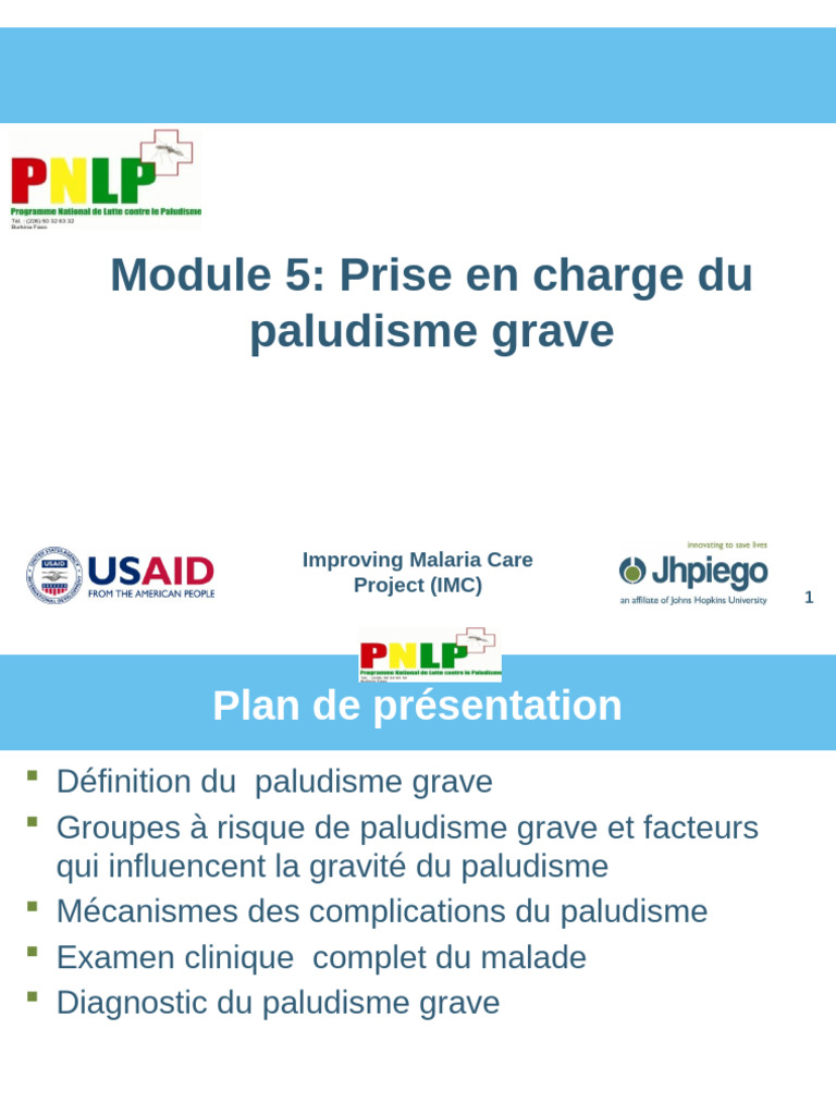 Module 5 - Prise en Charge Du Paludisme Grave | PDF