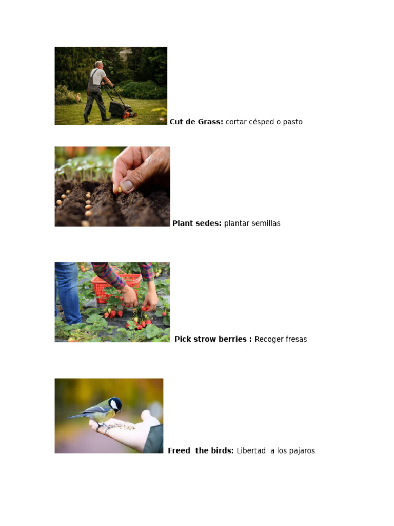 Actividades de Jardin | PDF