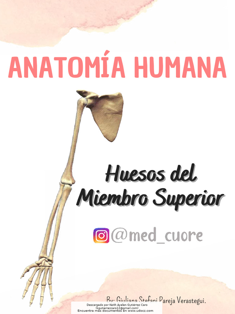 Anatomia 2do de Secundaria | PDF