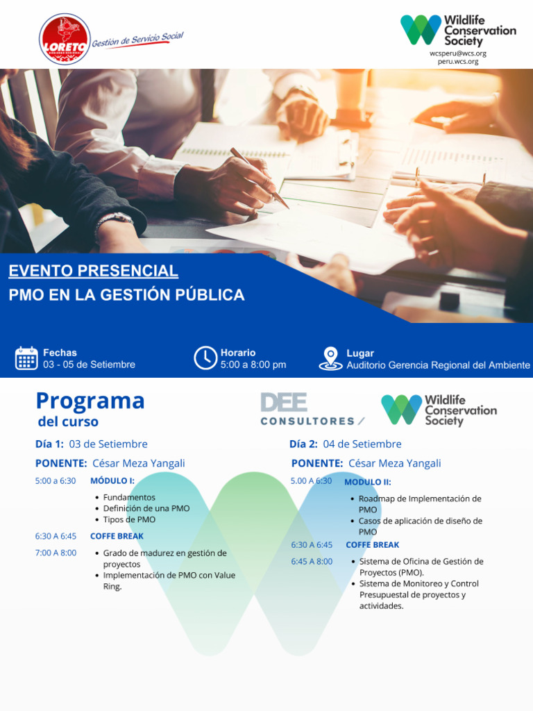 Pmo en La Gestión Pública - Brochure | PDF