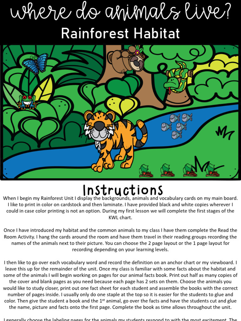 Rainforest Habitat | PDF