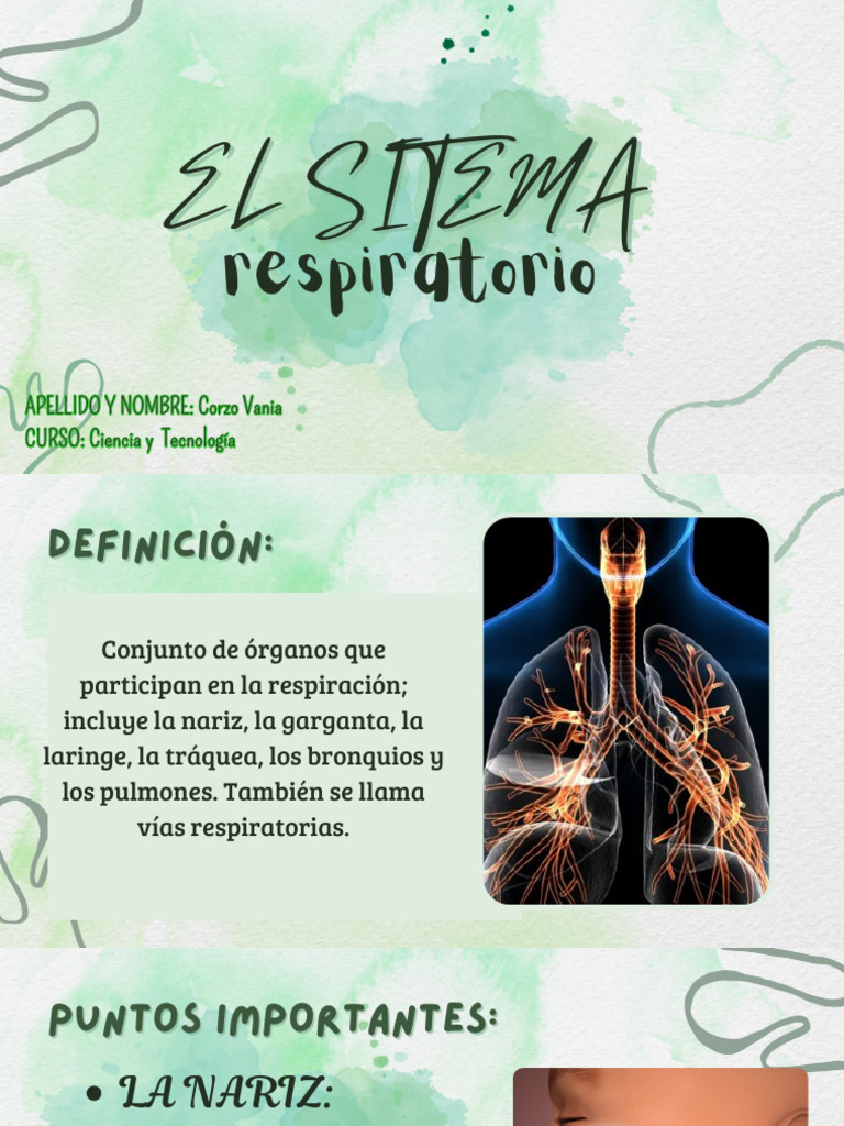 Expo de CyT - final | PDF