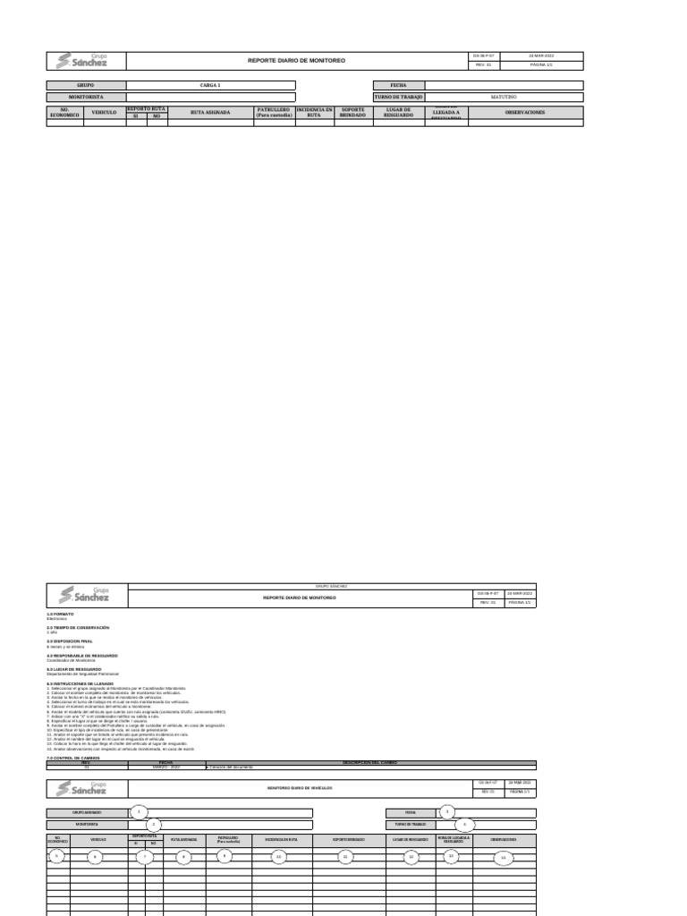 01-Carga 1-Gs-36-F-07 Reporte Diario de Monitoreo v.1 | PDF