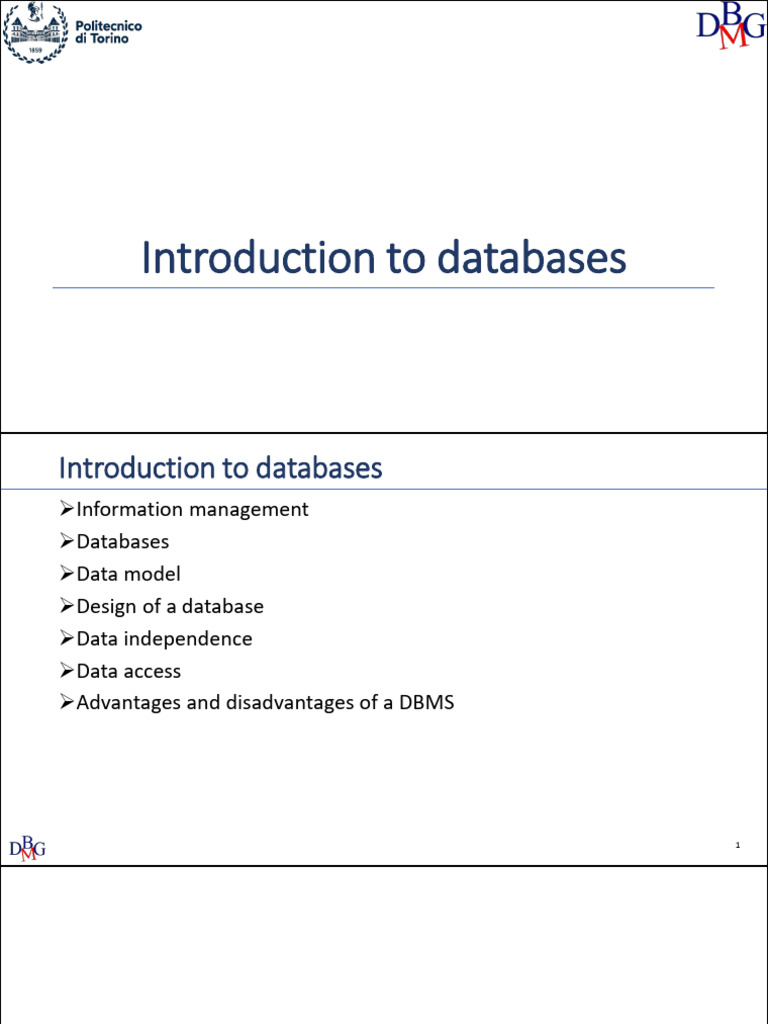 Introduction To Databases | PDF