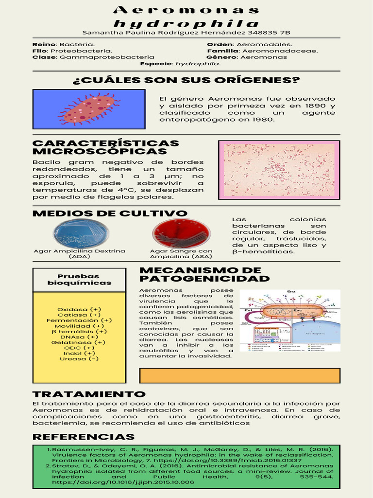 Aeromonas y Plesiomonas | PDF