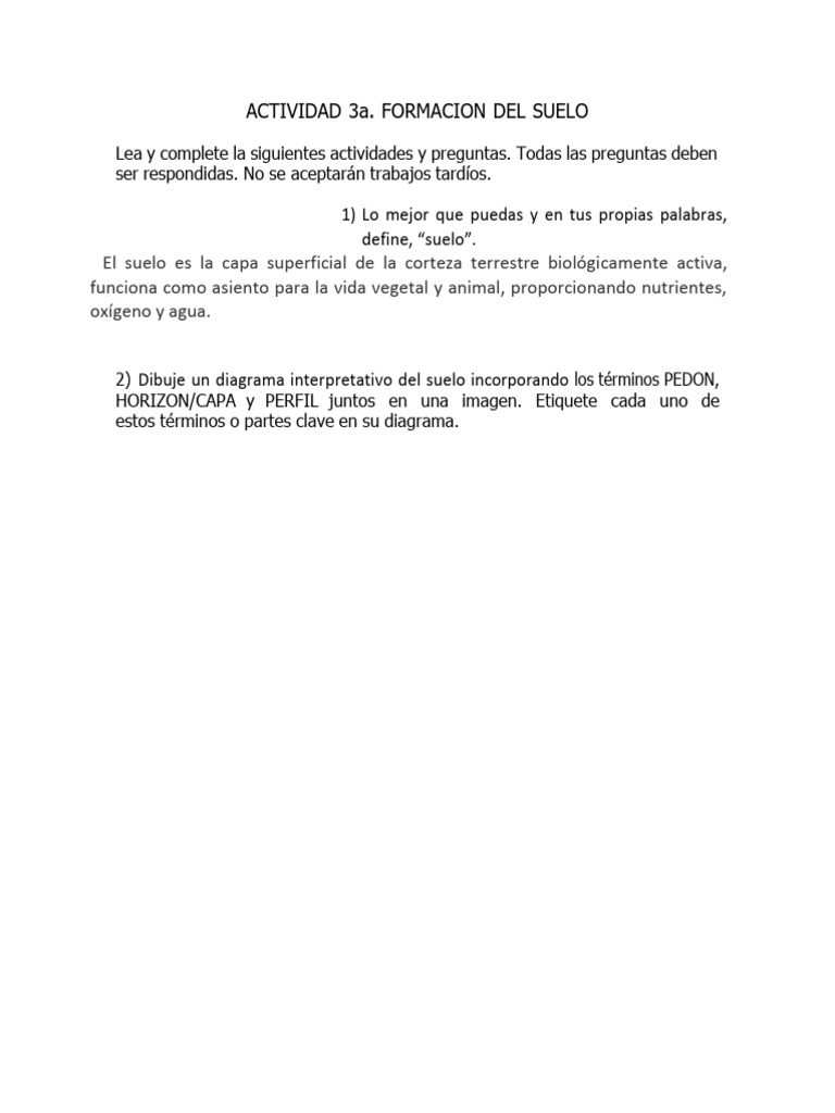 ACTIVIDAD 3a. FORMACION DEL SUELO (1) .9 | PDF | Suelo | Entorno natural