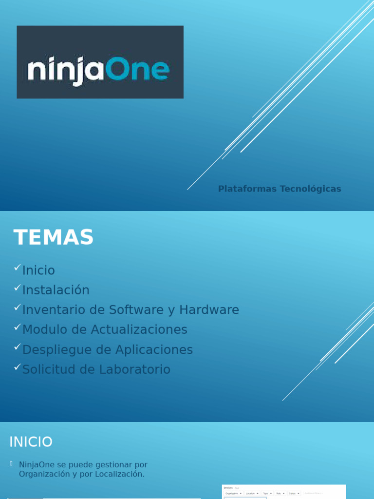 Ninja One | PDF