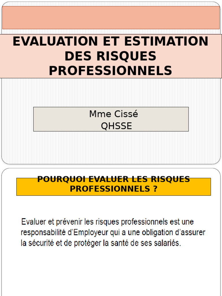 Evaluation Et Estimation Des Risques Professionnels | PDF