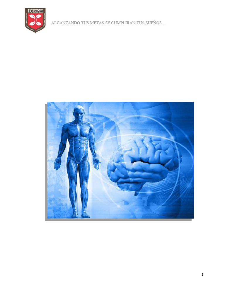 Manual Trastornos Psicosomáticos, ICEPH | PDF